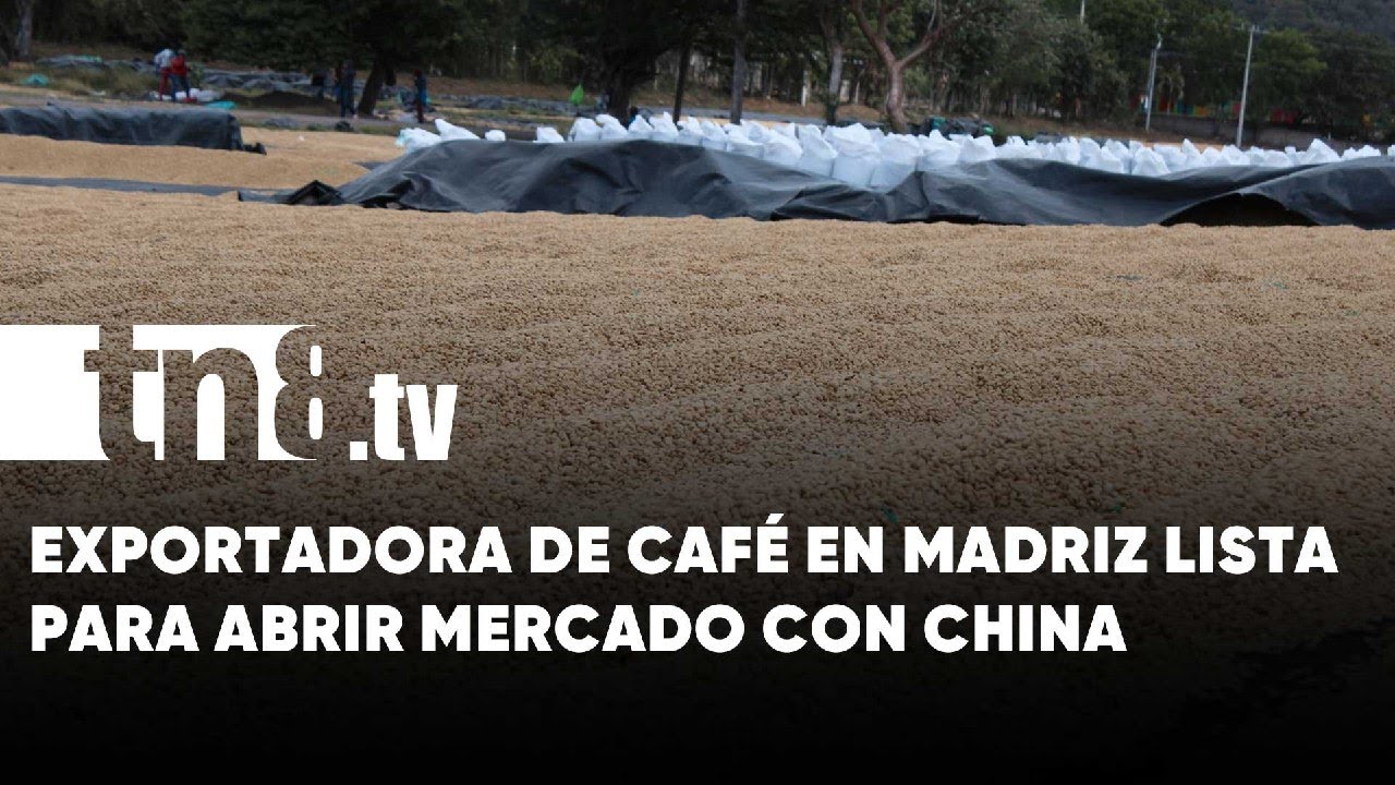 Cooperativa exportadora de café en Madriz lista para abrir mercado con ...