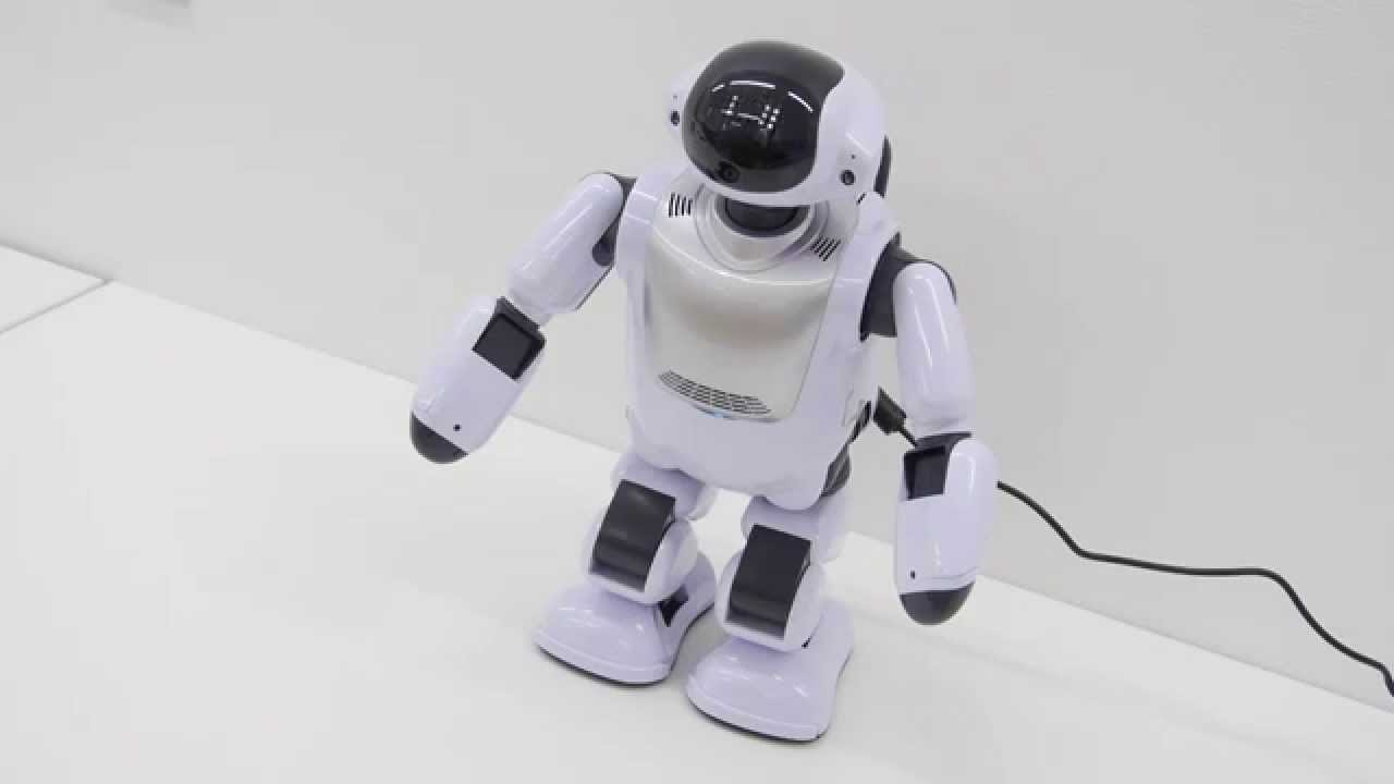 人を認識し始めたPalmiがインターネットへの接続を要求する様子 - YouTube