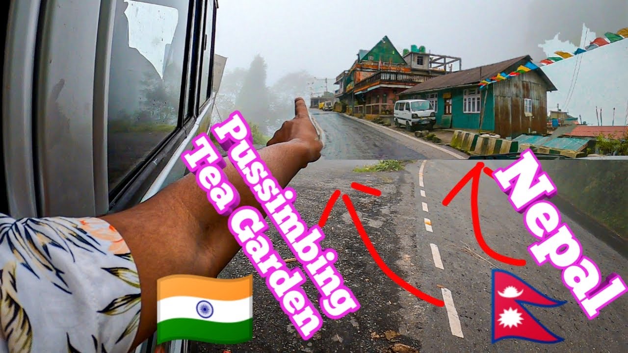 My village (Pussimbing Tea Garden) to Ghoom (Ghum) | Darjeeling Nepal ...