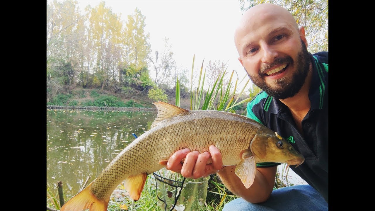 Troshan Fishing предава на живо! - YouTube