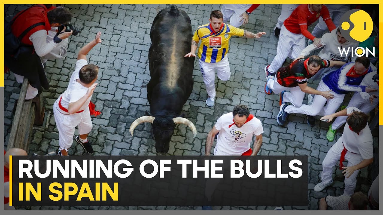 Spain: 6 injured by raging bulls, rushed to hospitals | WION - YouTube