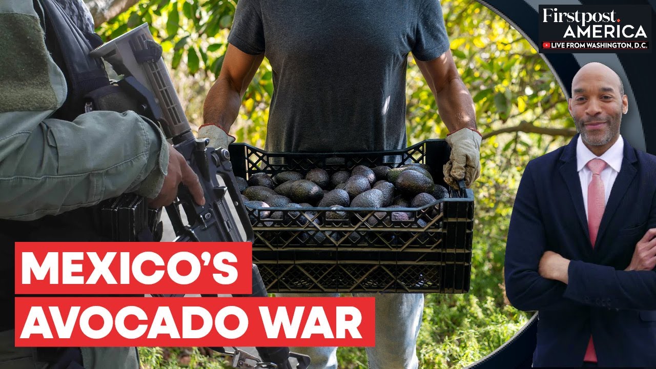 Mexico Avocado Farmers Take Up Arms Against Cartel Violence | Firstpost ...