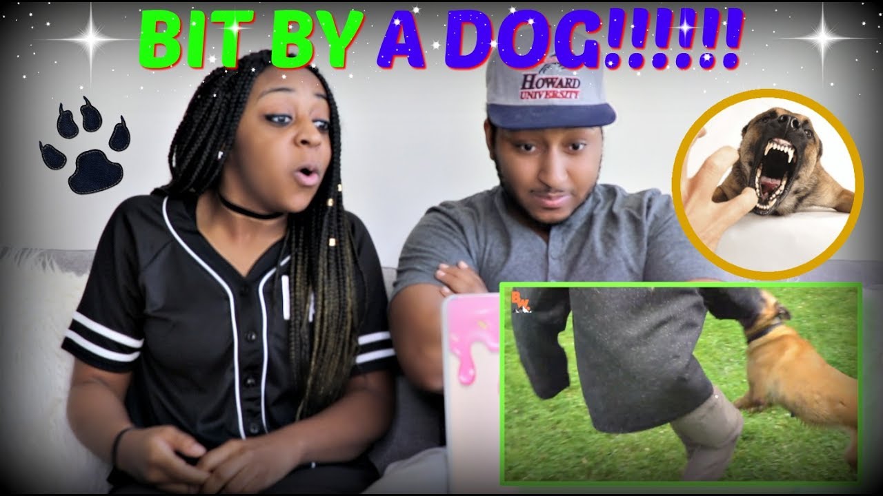 Brave Wilderness "BAD BITE! - K9 Attack" REACTION!!!! - YouTube