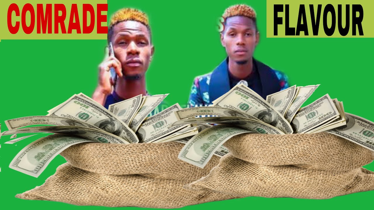 CALCULATING COMRADE FLAVOR’S YOUTUBE SALARY - YouTube