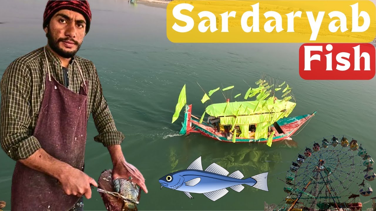 Sardaryab Fish | Charsadda | Pakistan | Laeeq Films | @SaqibMobeen ...