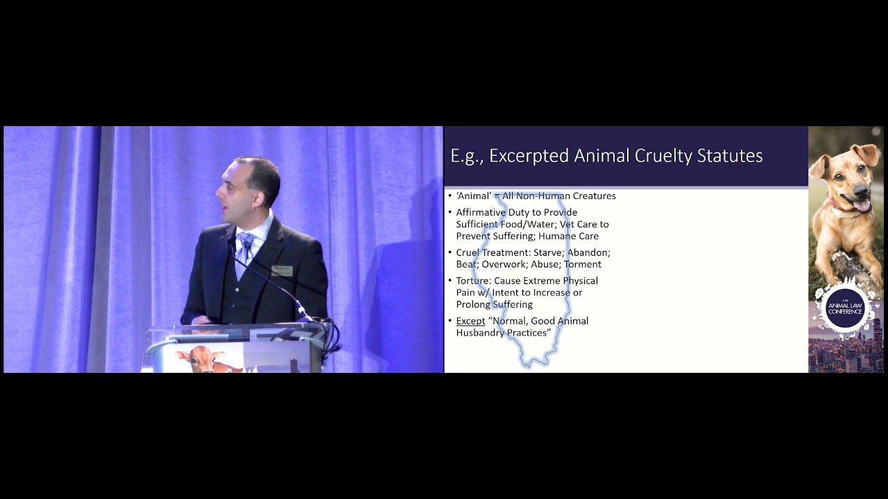 Pasture to Prosecution: Using the Power of Anti-Cruelty Laws to Protect ...