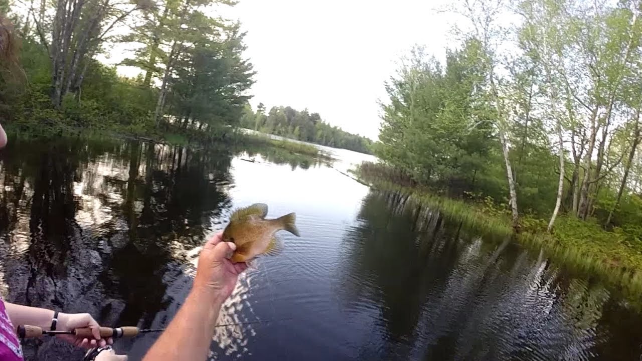 chippewa flowage 5 26 17 - YouTube