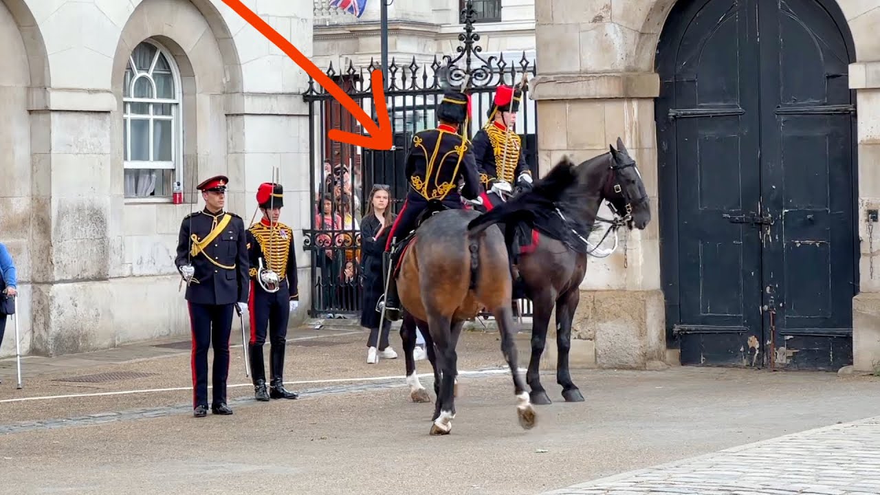 Hilarious!😂 Unsettling Horse Ask Captain to Hurry Up! - YouTube