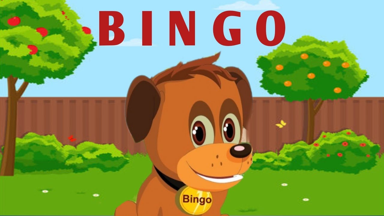 Bingo Song - Kids Songs and Nursery Rhymes #babysongs - YouTube