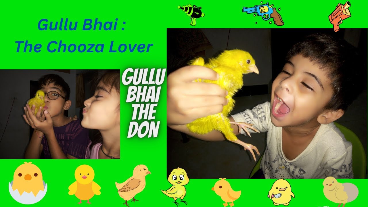 Gullu Bhai The DON || The Chooza Lover || - YouTube