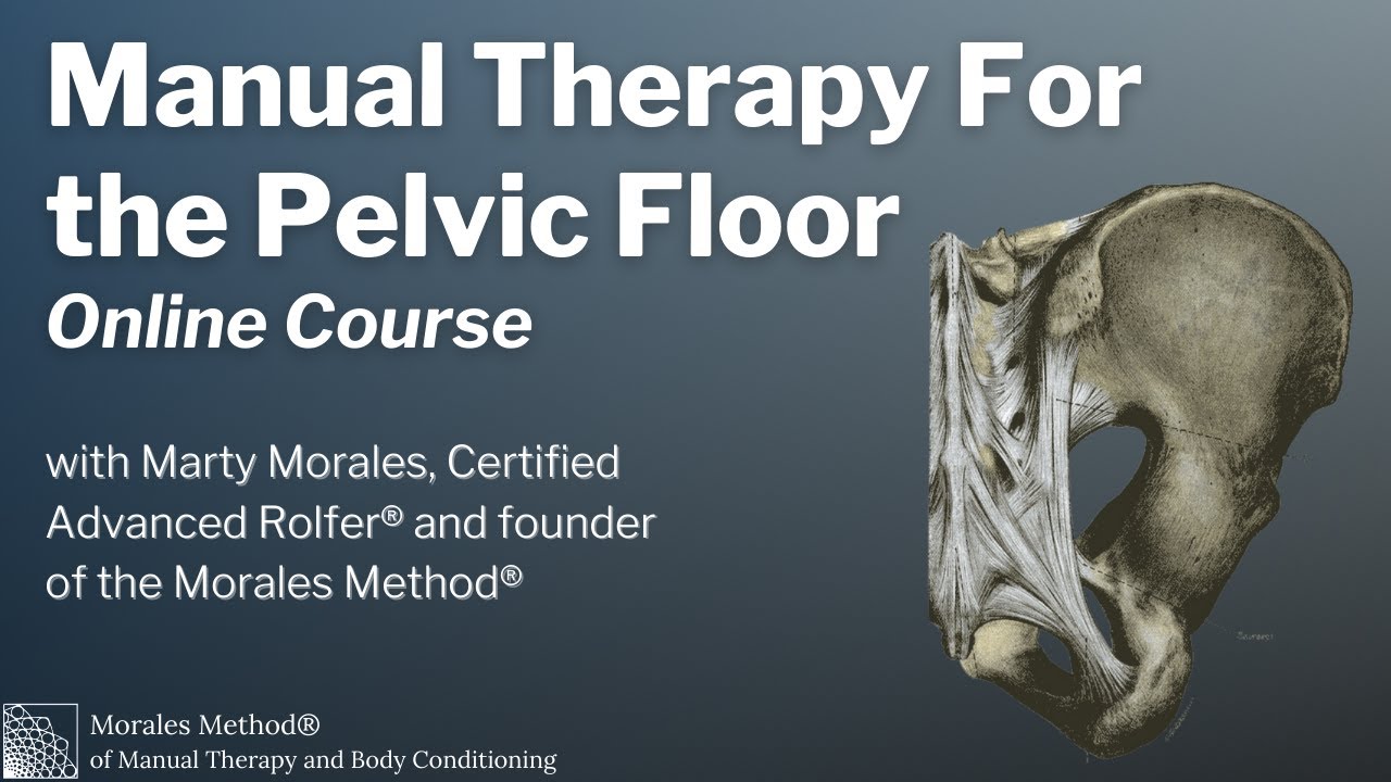 Manual Therapy for the Pelvic Floor Online Course - YouTube