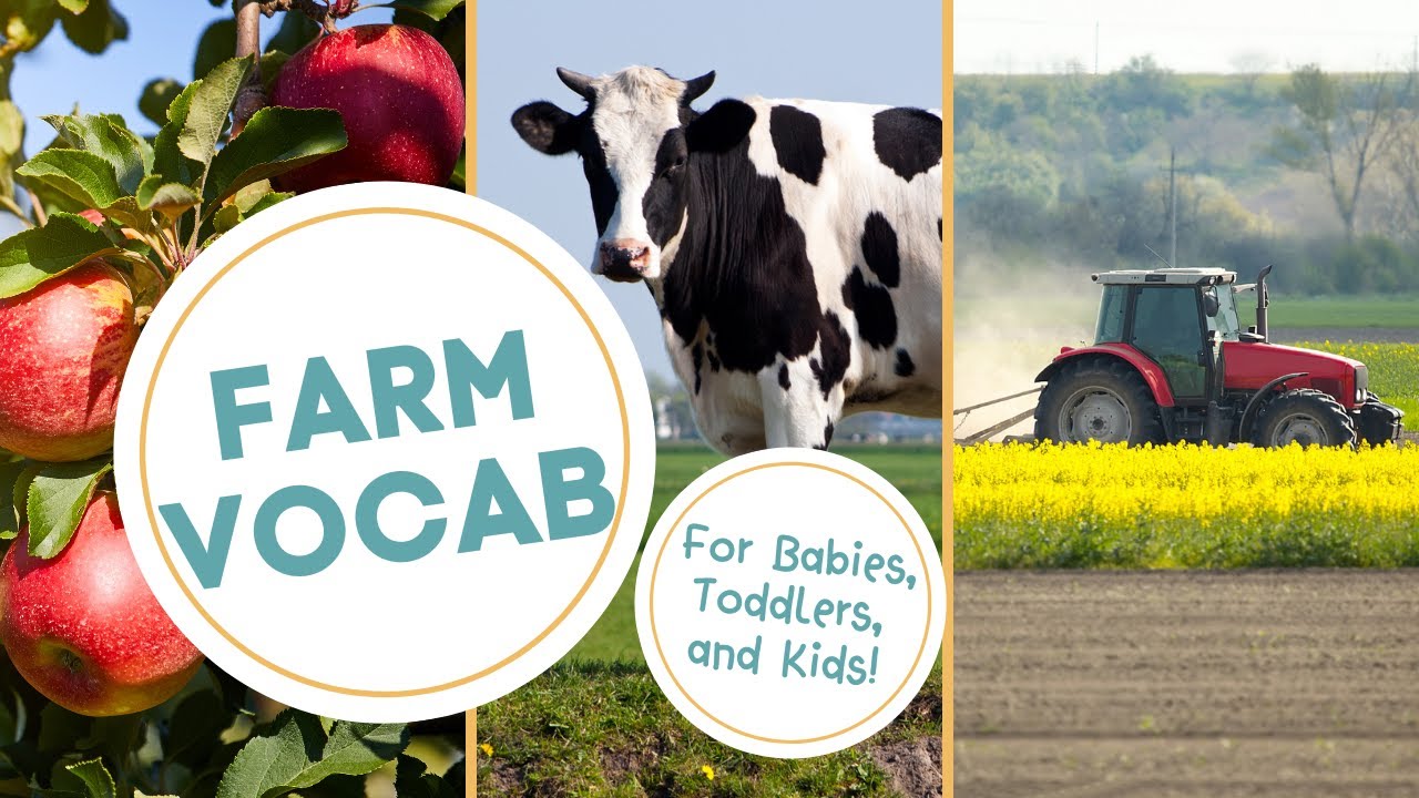 LET'S GO TO THE FARM | Slow Paced | Learning Vocabulary | Show for ...