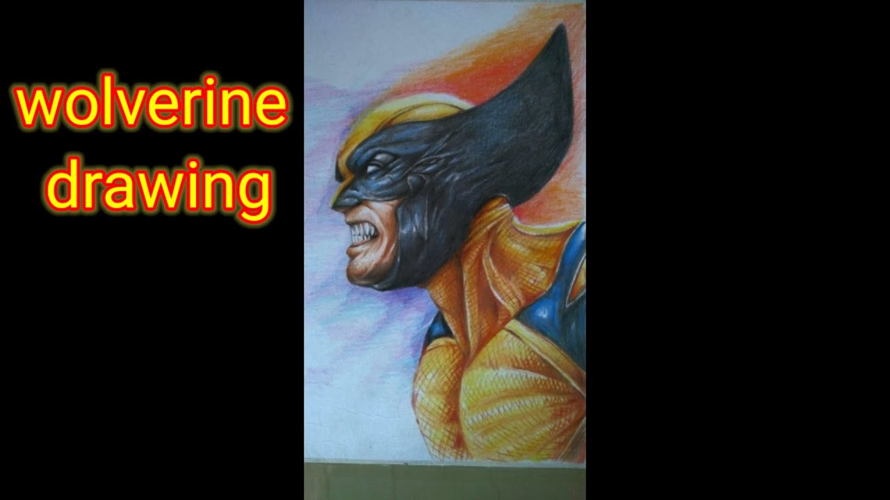 HOW TO DRAW REALISTIC DRAWING OF WOLVERINE //COLORED PENCIL EDITION ...