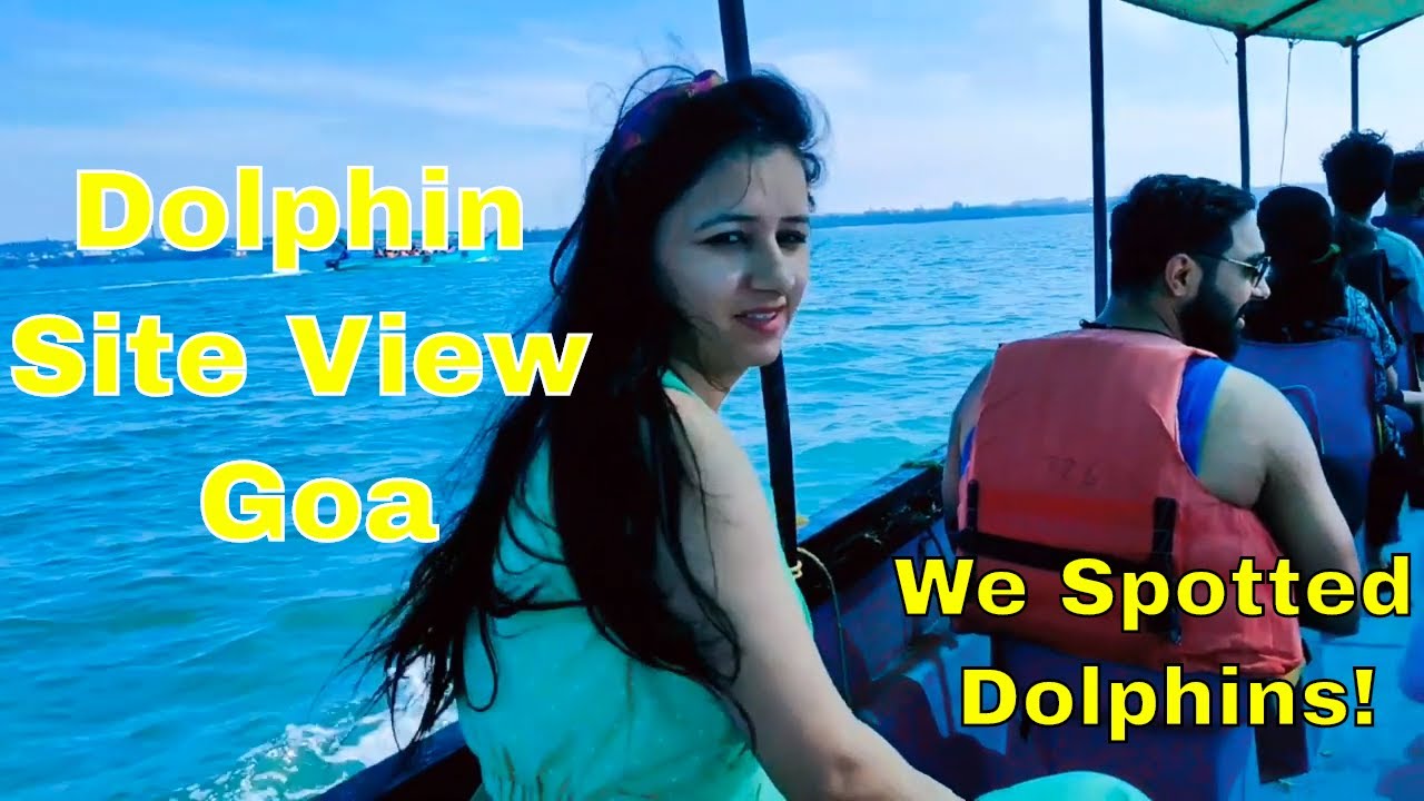 Speed Boat Ride Goa | Goa Dolphin Trip | Sinquerim Jetty Candolim Goa ...
