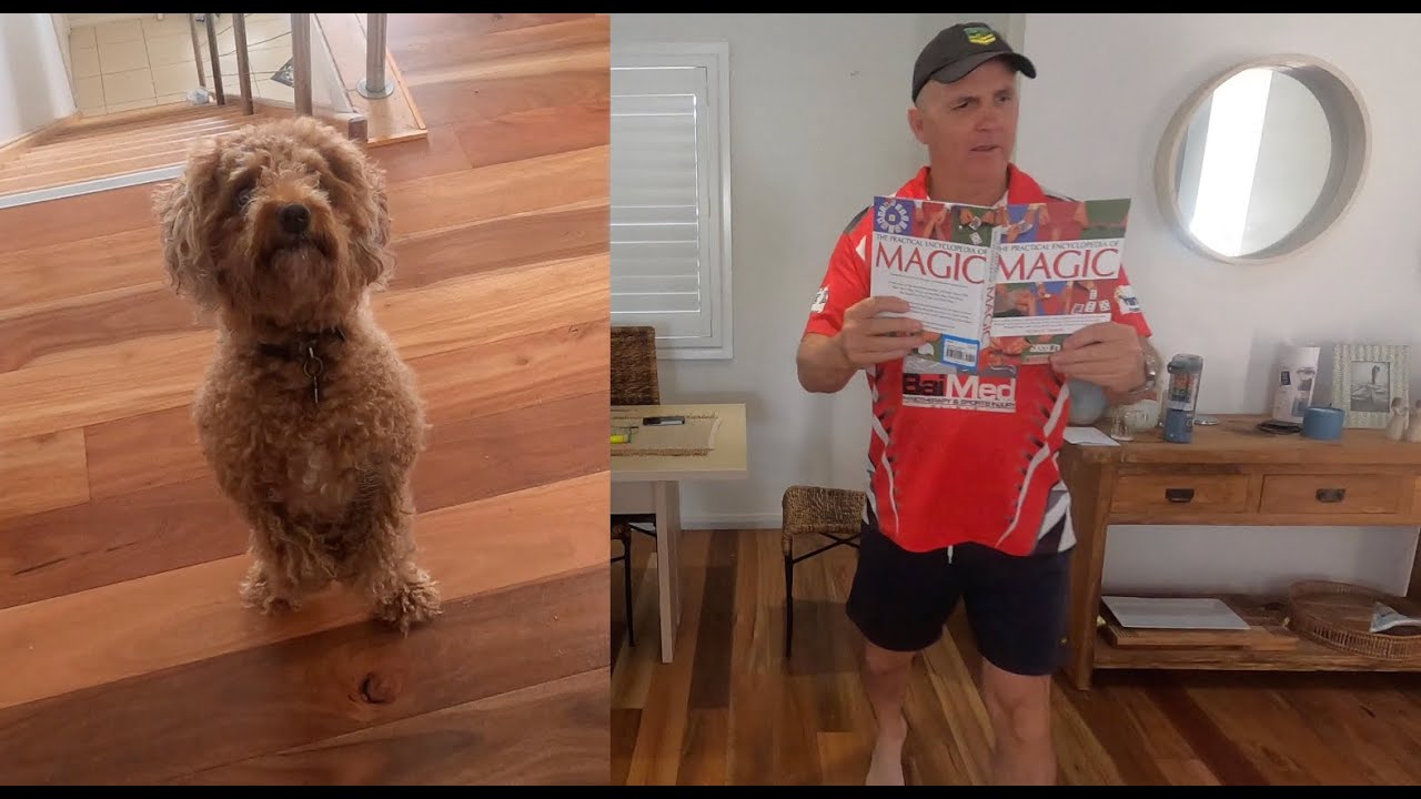 Puppy Magic. Dad finds Magic book and tests out spells on Spencer the ...