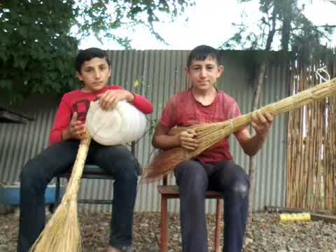 Qaradolaq ansanbılı laçın gözəli