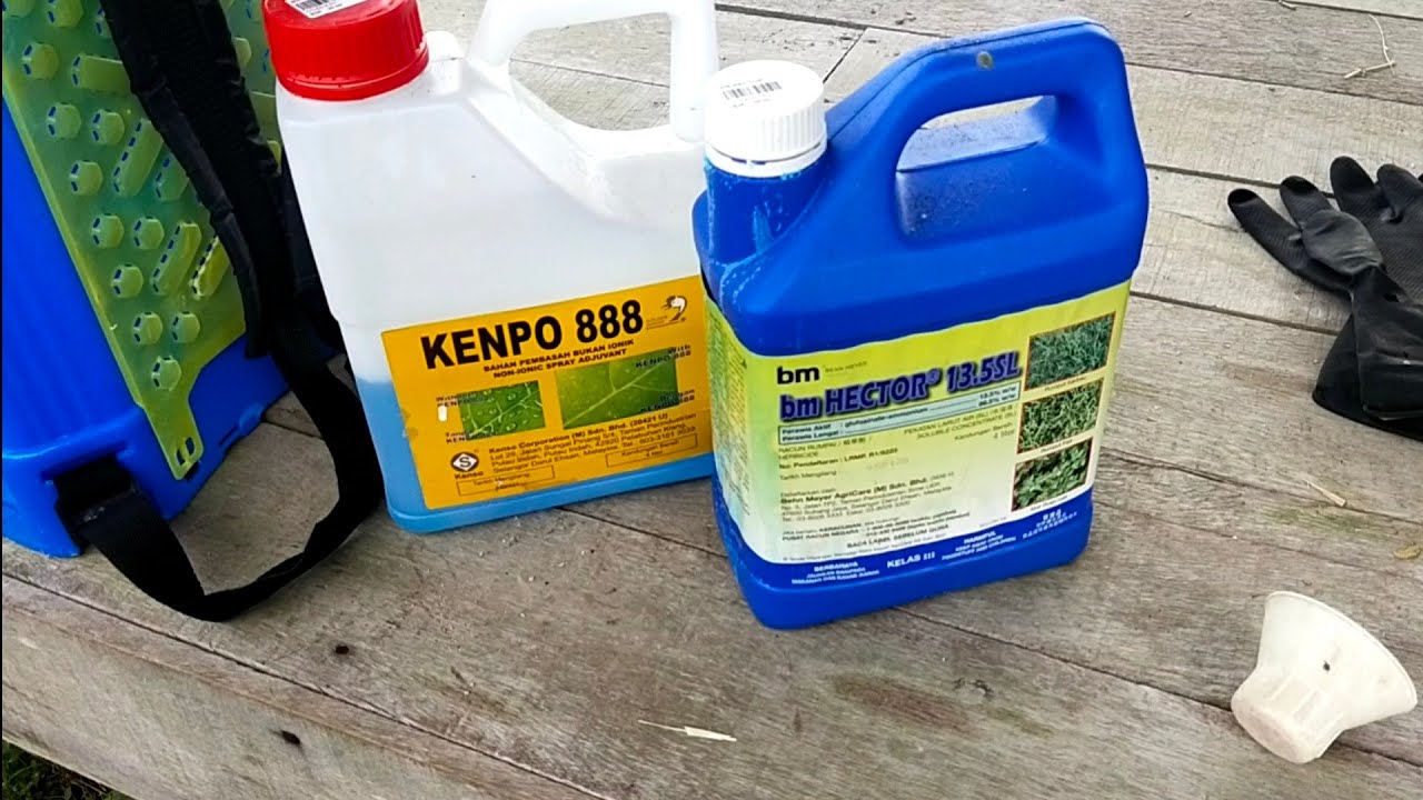 (Ep.33) Meracun Rumpai Lorong Kelapa dan Pisang - YouTube