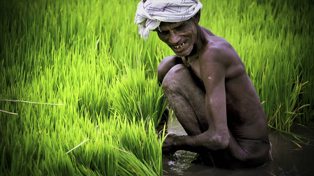 KANAVU KANUNGAL by JK - YouTube