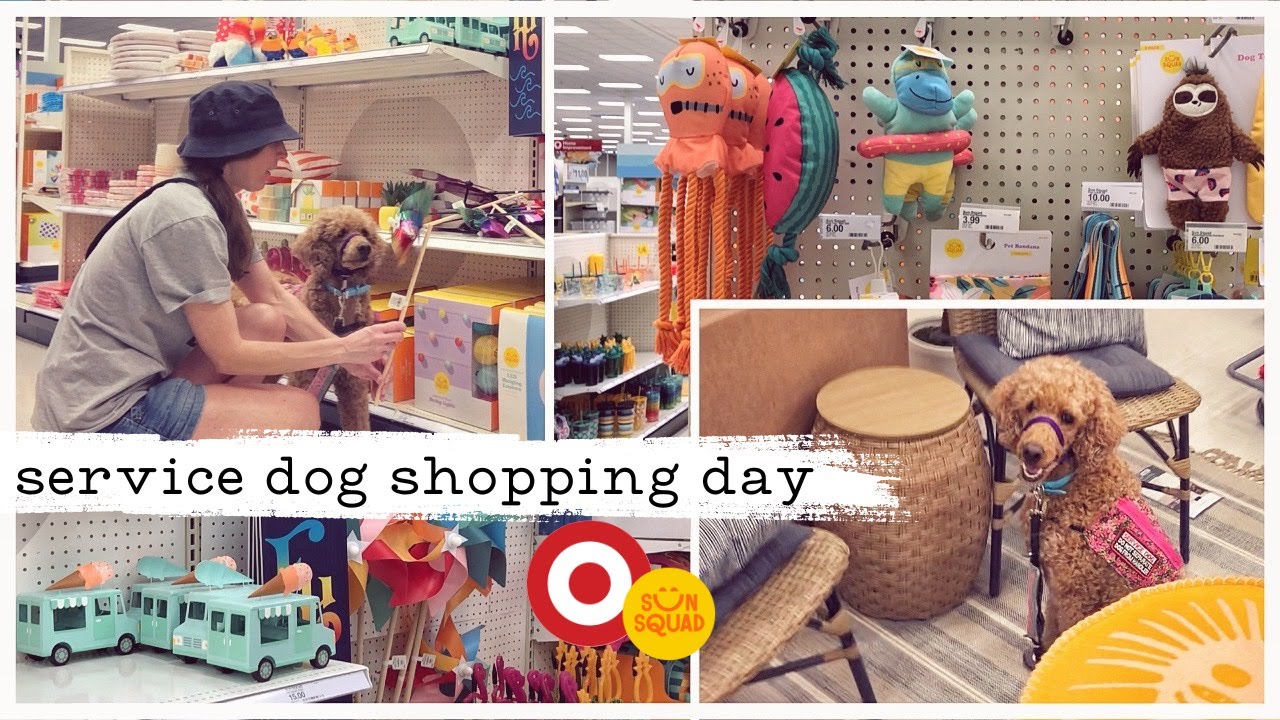 Target Shopping with my Service Dog #servicedog #sdit # ...