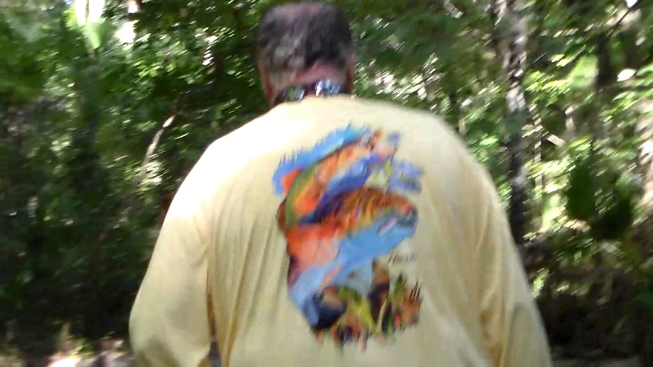 Bongoland Amusement Park Ruins - Port Orange - YouTube