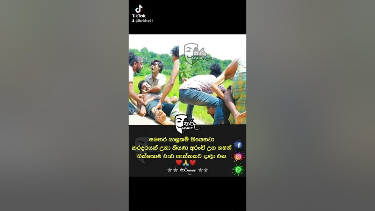 Lion King Tik Tok Youtube