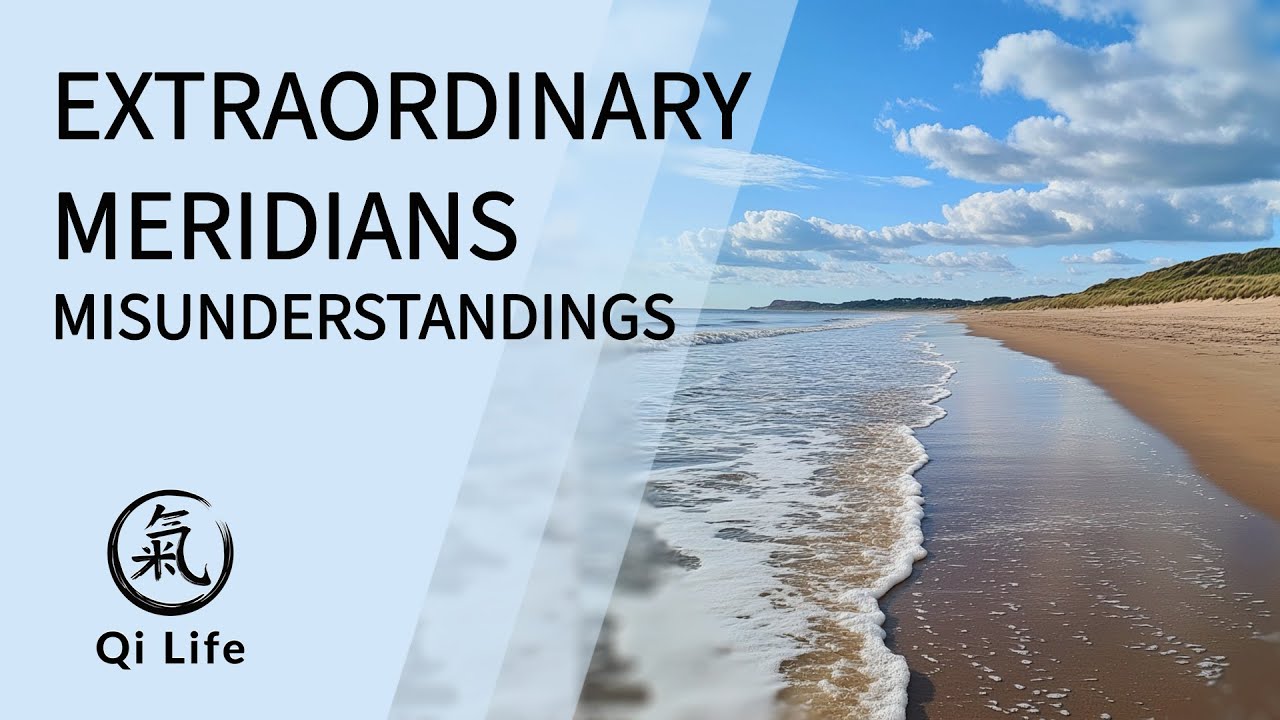Extraordinary Meridians - The Misunderstood Meridians - Vlog 235 - Qi ...