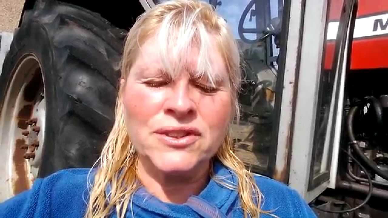 Write A Haiku About Spider Webs ~ Adventure 254 [365 Days Of Adventure ...
