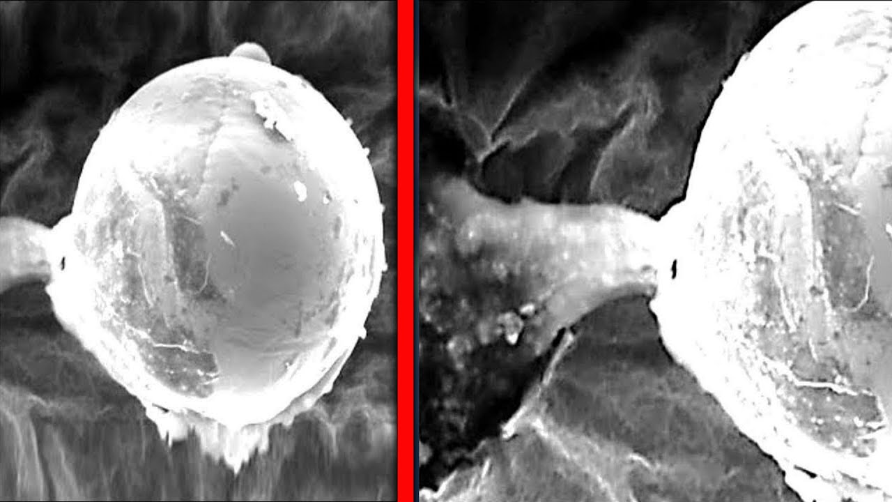 10 Weird Scientific Anomalies That Hint At Parallel Universes - YouTube