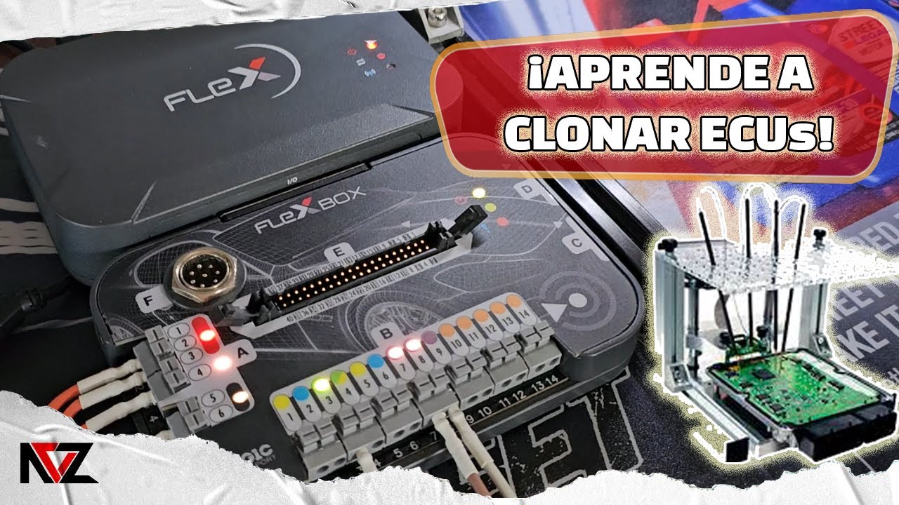 GENERA MAS💲CLONANDO ECUS| REVIVE UNA ECU| CLONACION DE REPROS 🫢 | FLEX ...