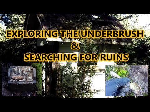 MORE TO EXPLORE - YouTube