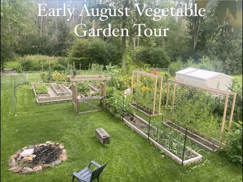 Early August Vegetable Garden Tour - YouTube