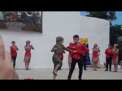 D  A   S   I     raculi