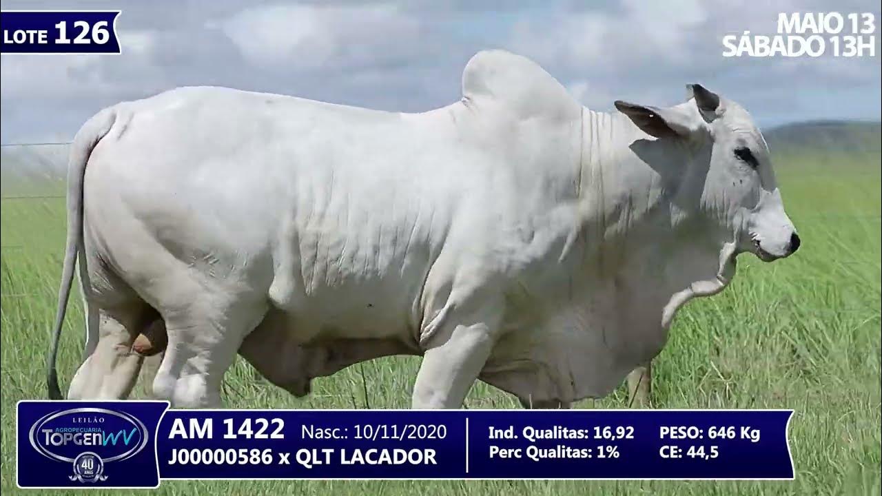 LOTE 126 AM 1422 - YouTube