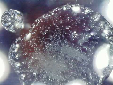 Birefringence of copper sulphate crystals [under microscope] - YouTube