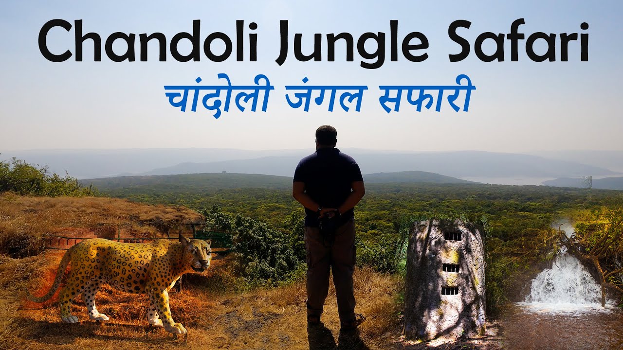Chandoli National Park Jungle Safari | Maharashtra Tourism India ...