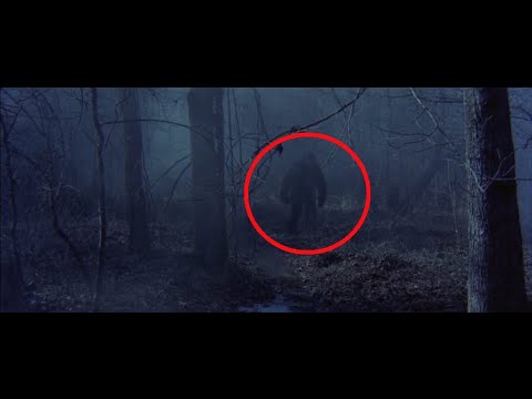 Swamp Stalker of Boggy Creek: New Evidence Uncovered in Texarkana Expedition