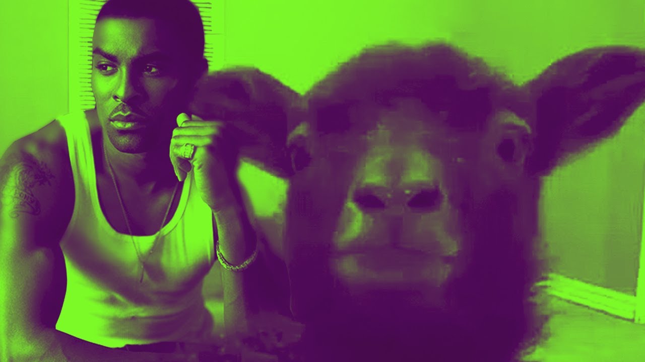 Goats vs Pony (Yelling like Humans REMIX) - YouTube