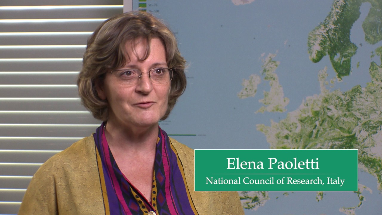 Visions of EFI: Elena Paoletti - YouTube