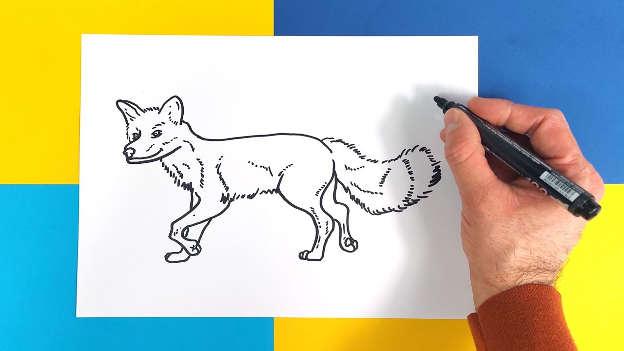 Comment dessiner un renard ? - YouTube
