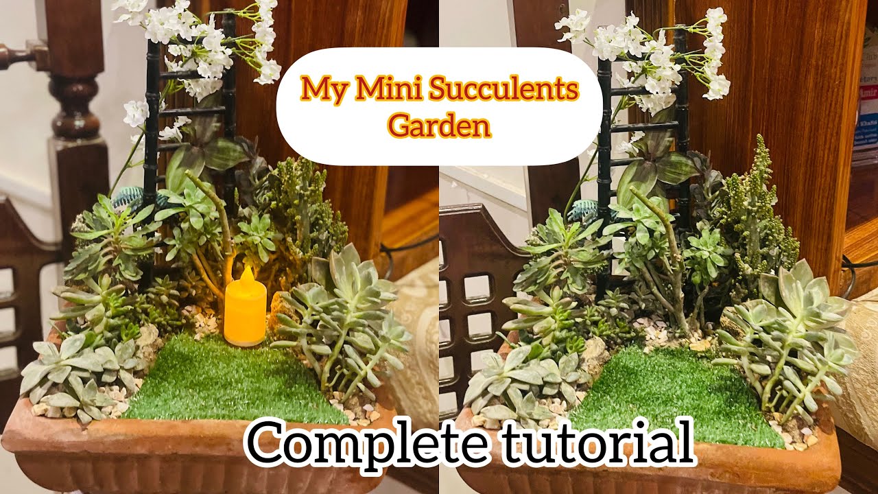 Mini Succulents Garden/Landscape /Pakistani gardening - YouTube