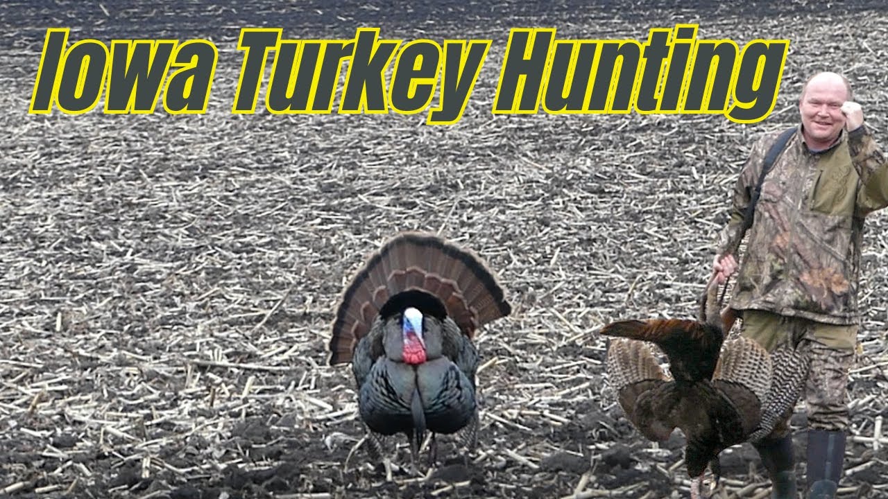 Incredible Turkey Hunting in Iowa!! - YouTube