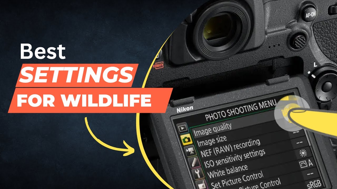 "Mastering Nikon D850 Custom Menu Settings for capturing wildlife photos: A Step-by-Step Guide ...