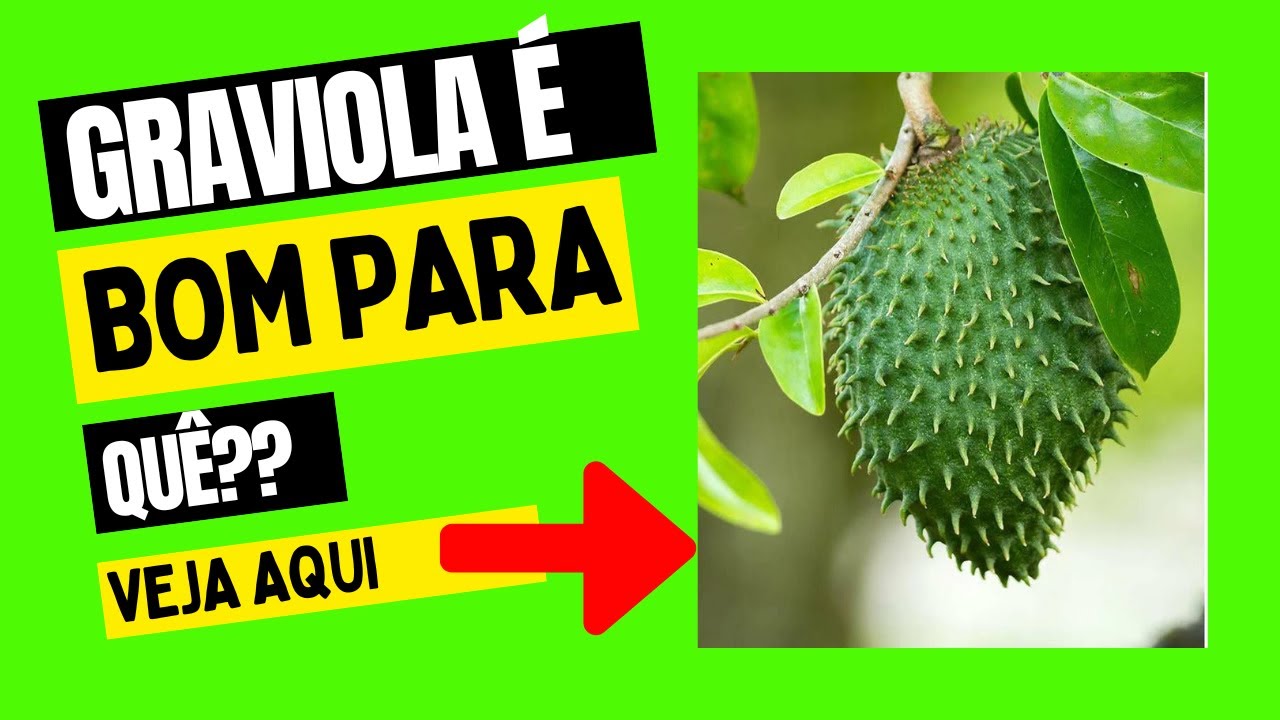 Descubra os Surpreendentes Benefícios da Graviola A Fruta que Faz Bem ...