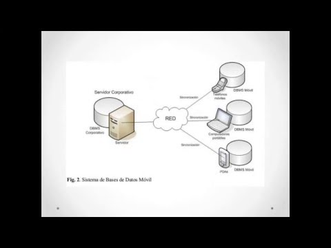 Conectividad de Base de Datos - YouTube