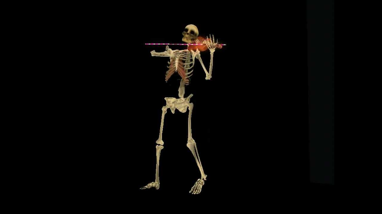SKELETON Playing The Violin - YouTube