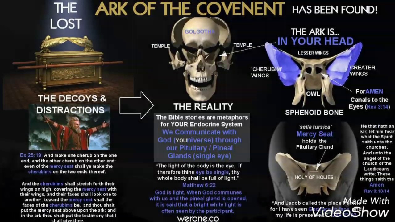 The real ark of the covenant found in the Bahamas - YouTube