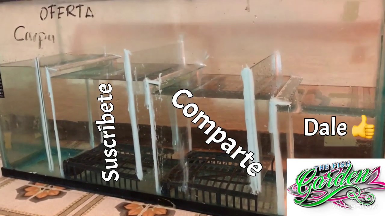 Como hacer un sump - YouTube