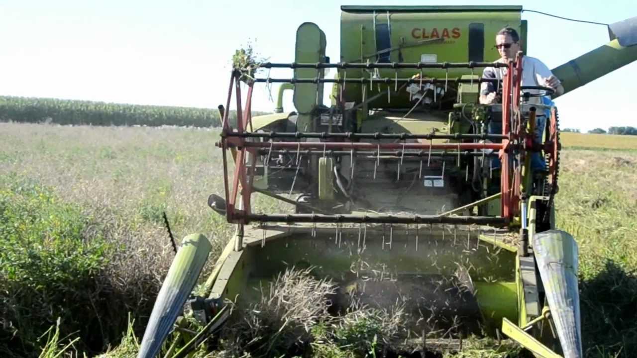 Rapsernte 2012 Claas Columbus 2 - YouTube