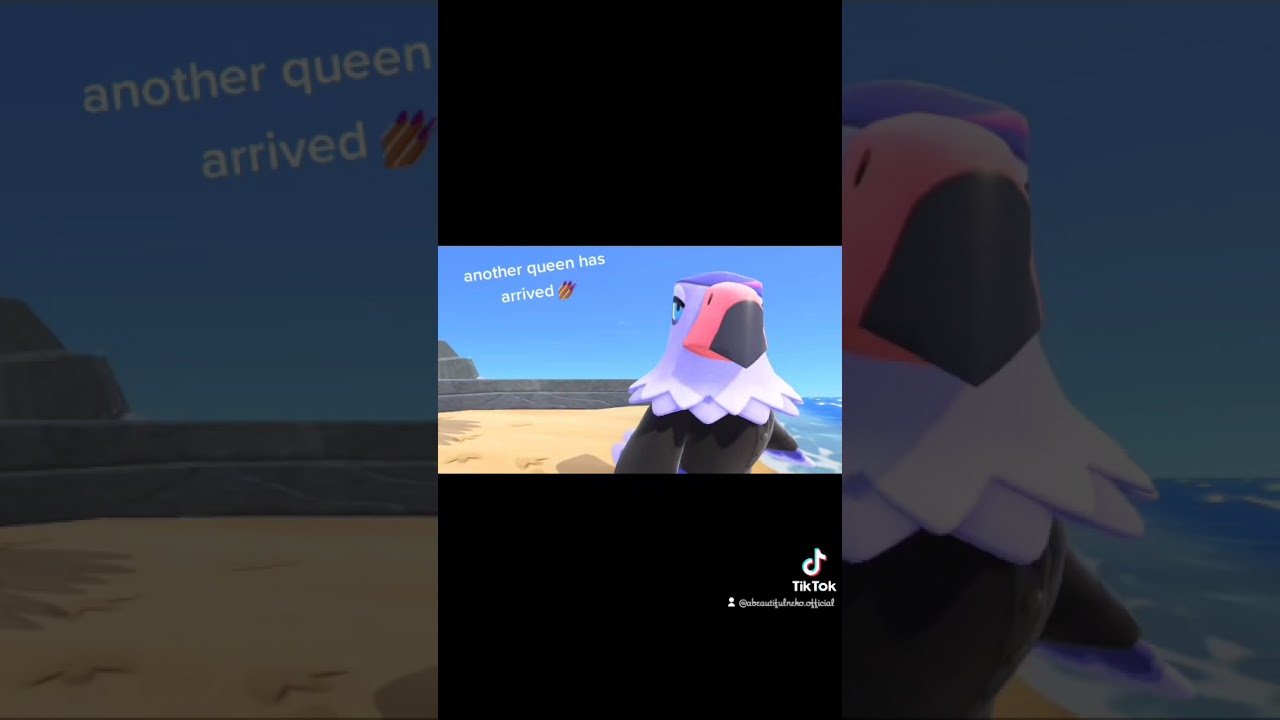 Queen Quinn has arrived boo | ACNH - YouTube