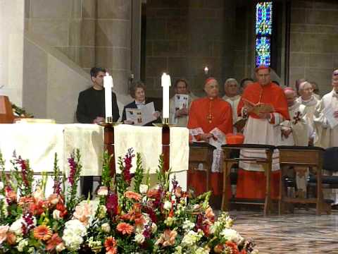 Cardinal Maida performs ceremonies at installation ceremony of ...